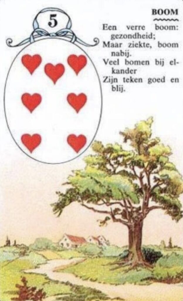 Lenormand kaarten uitgelegd - Mediumlijn