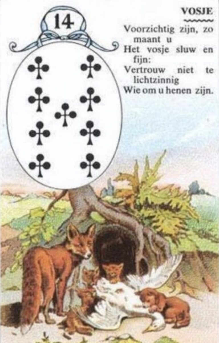 Lenormand kaarten uitgelegd - Mediumlijn